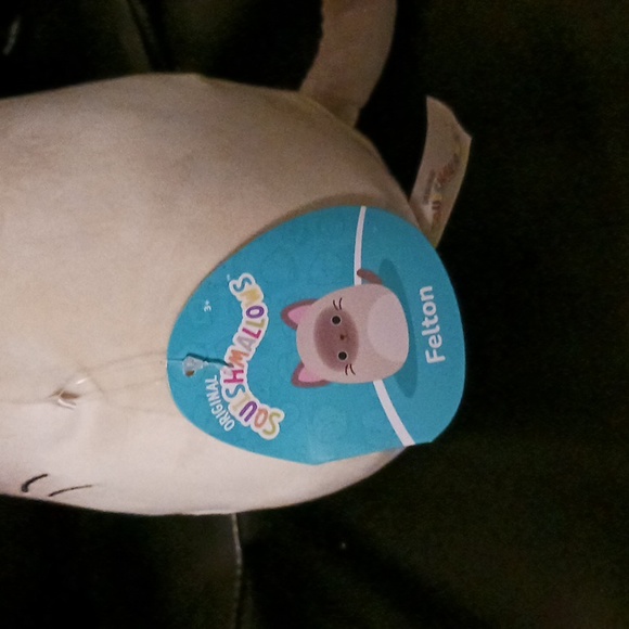 Squishmallows | Toys | Squishmallow Felton The Cat 7 In | Poshmark